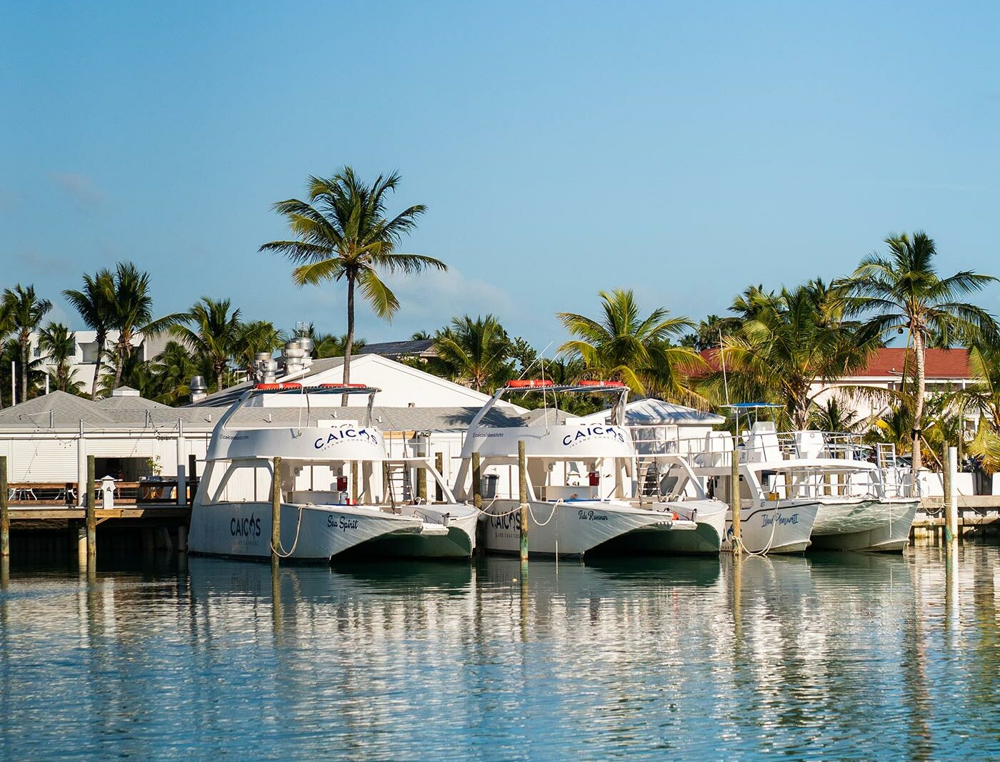 Our Top Things to Do in the Turks & Caicos Islands: A Property Owner's ...